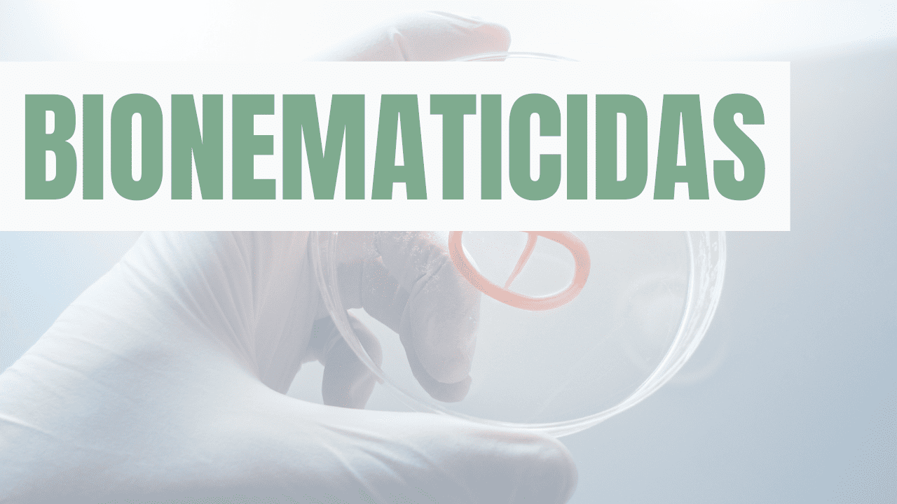 Bionematicidas: Modo de Ação e Agentes de Controle
